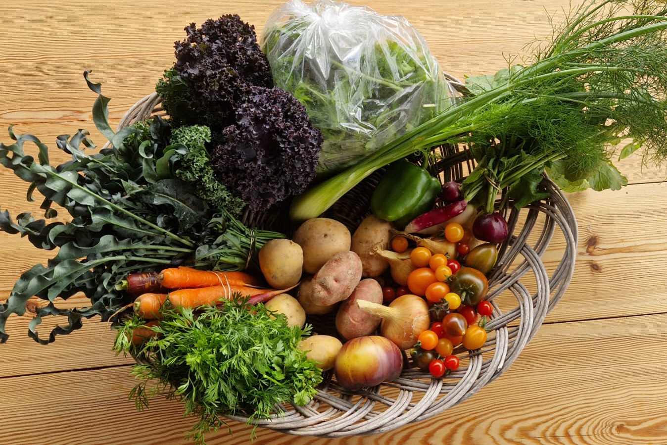 20 Nordic Farms Have Joined the Slow Food Farms Network - Slow Food in ...